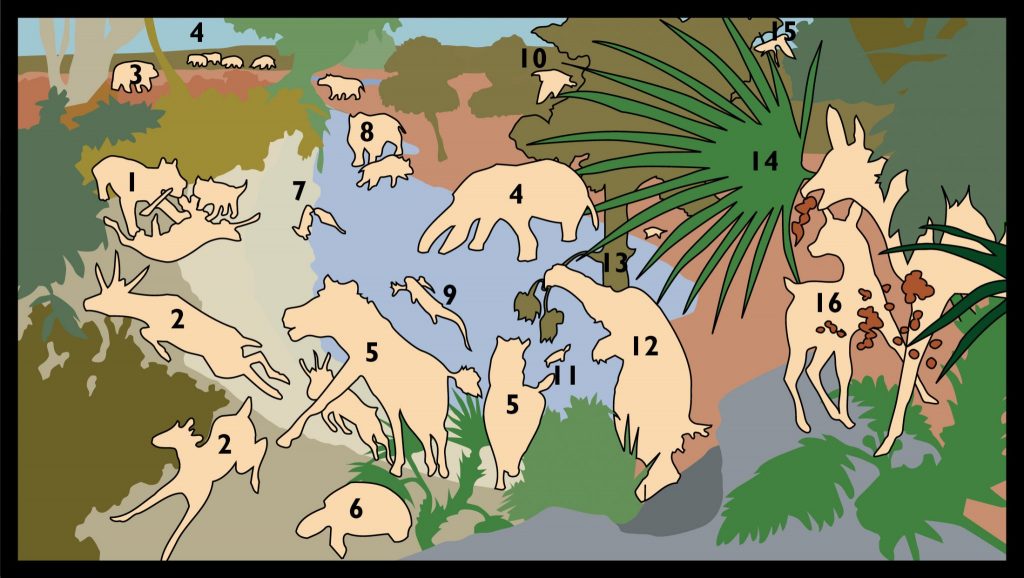 Florida Miocene painting by Michael Rothman – Exhibits