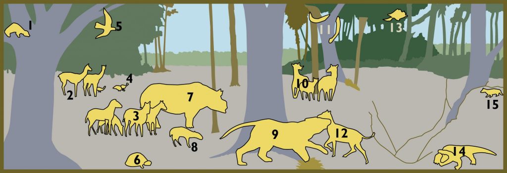 Florida Miocene painting by Bob Beach – Exhibits