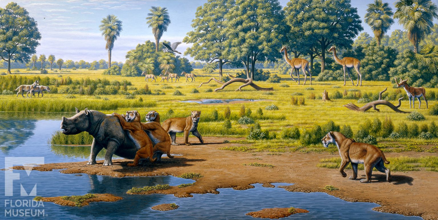 Florida Miocene painting by Mauricio Antón – Exhibits