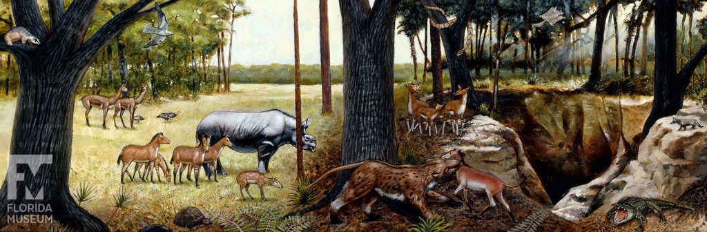 Florida Miocene painting by Bob Beach – Exhibits