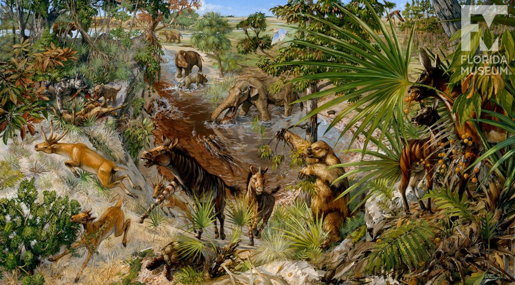 Florida Miocene painting by Michael Rothman – Exhibits