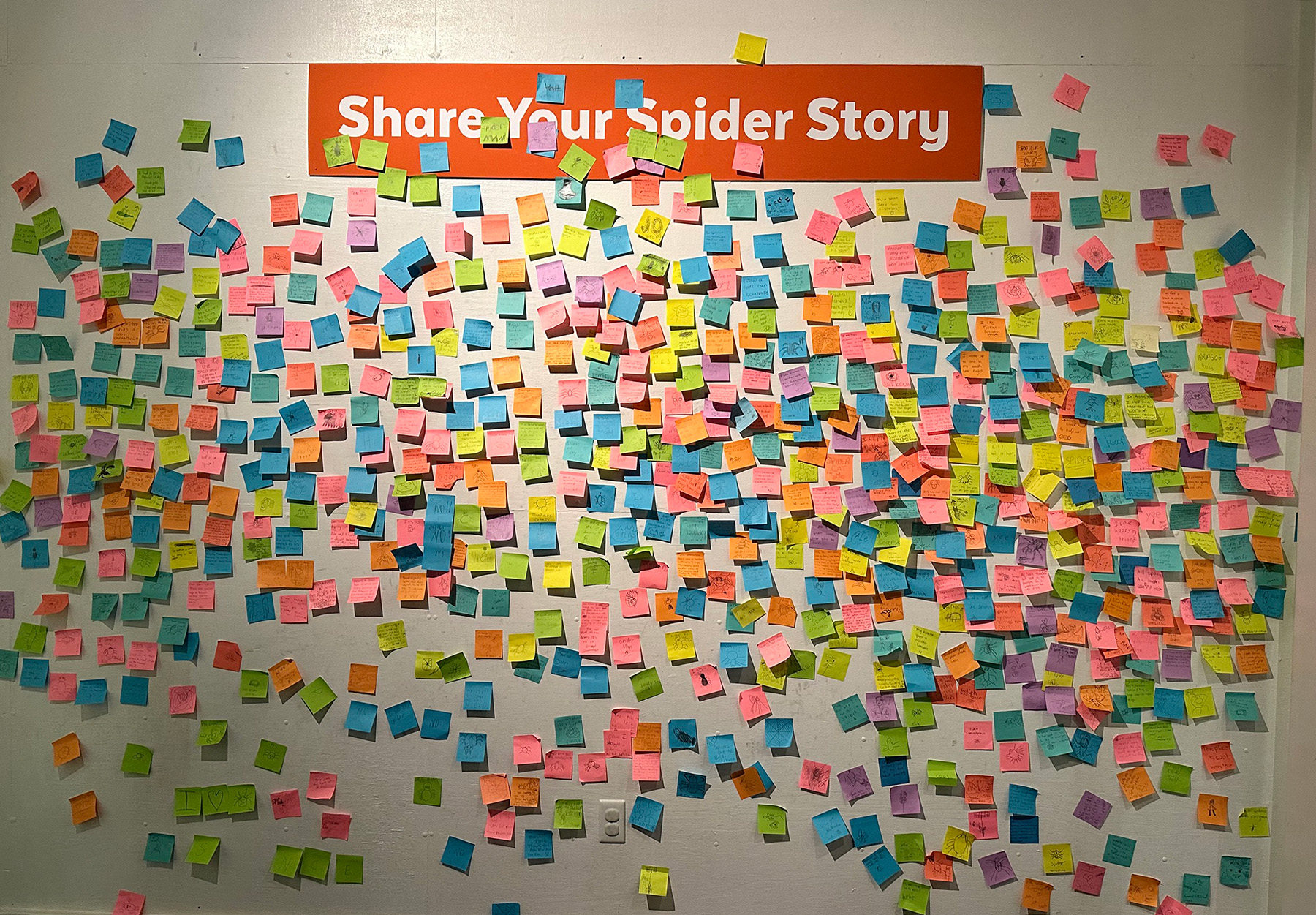 Notes to Spiders – Exhibits