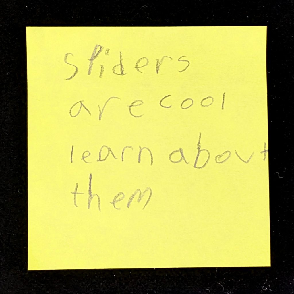 Notes to Spiders – Exhibits