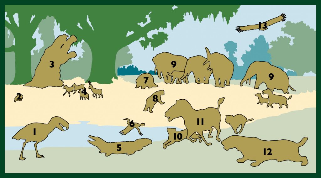 Florida Pliocene painting by Carl Buell – Exhibits