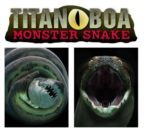Titanoboa: Monster Snake – Exhibits