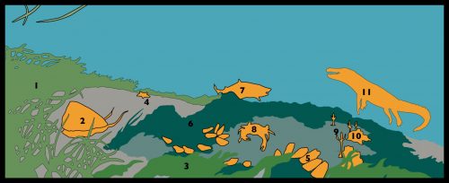 Florida Eocene painting by David Miller – Exhibits