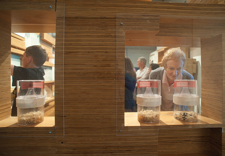 CSI: Crime Scene Insects – Exhibits