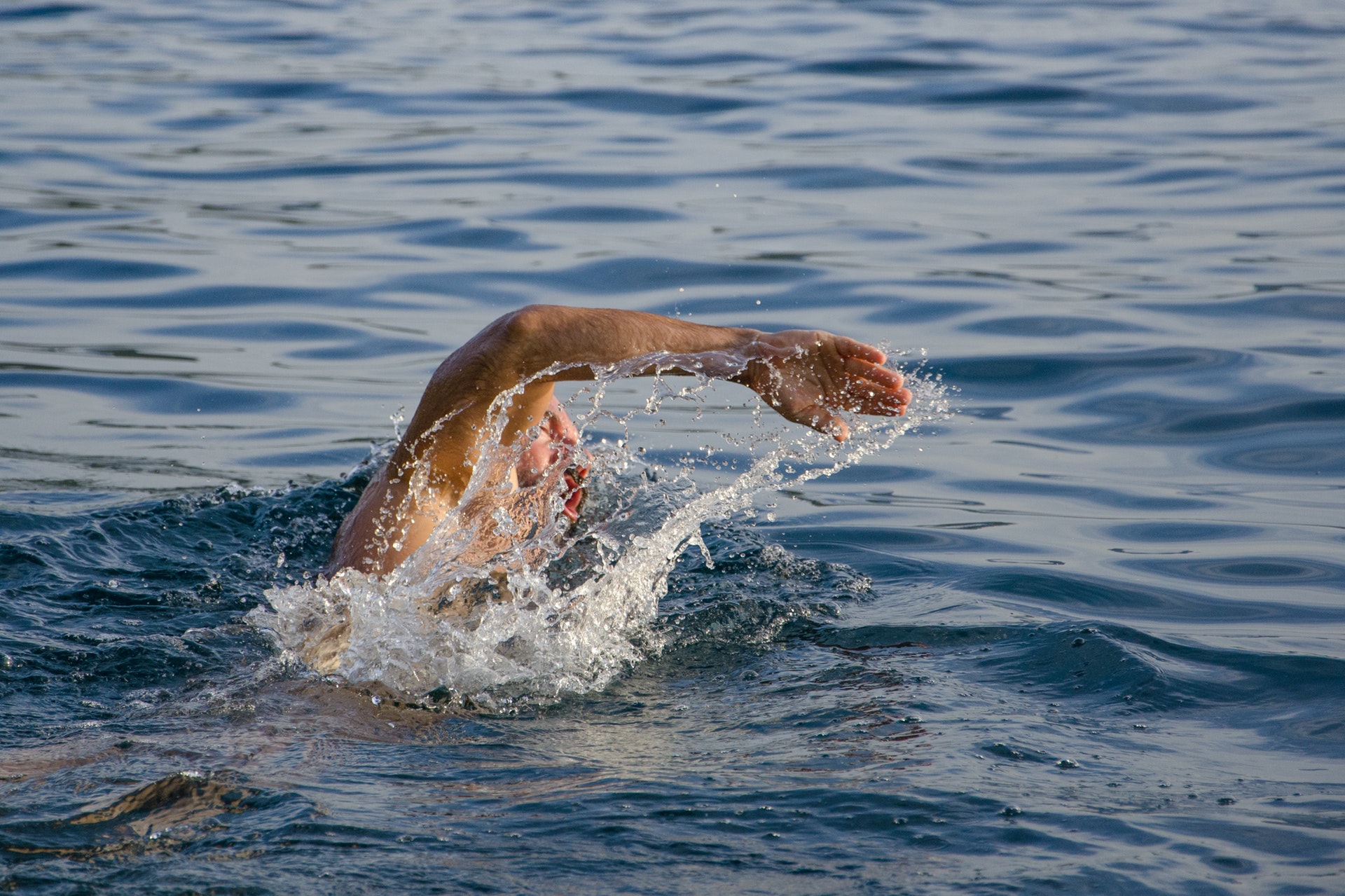 Advice to Swimmers – International Shark Attack File