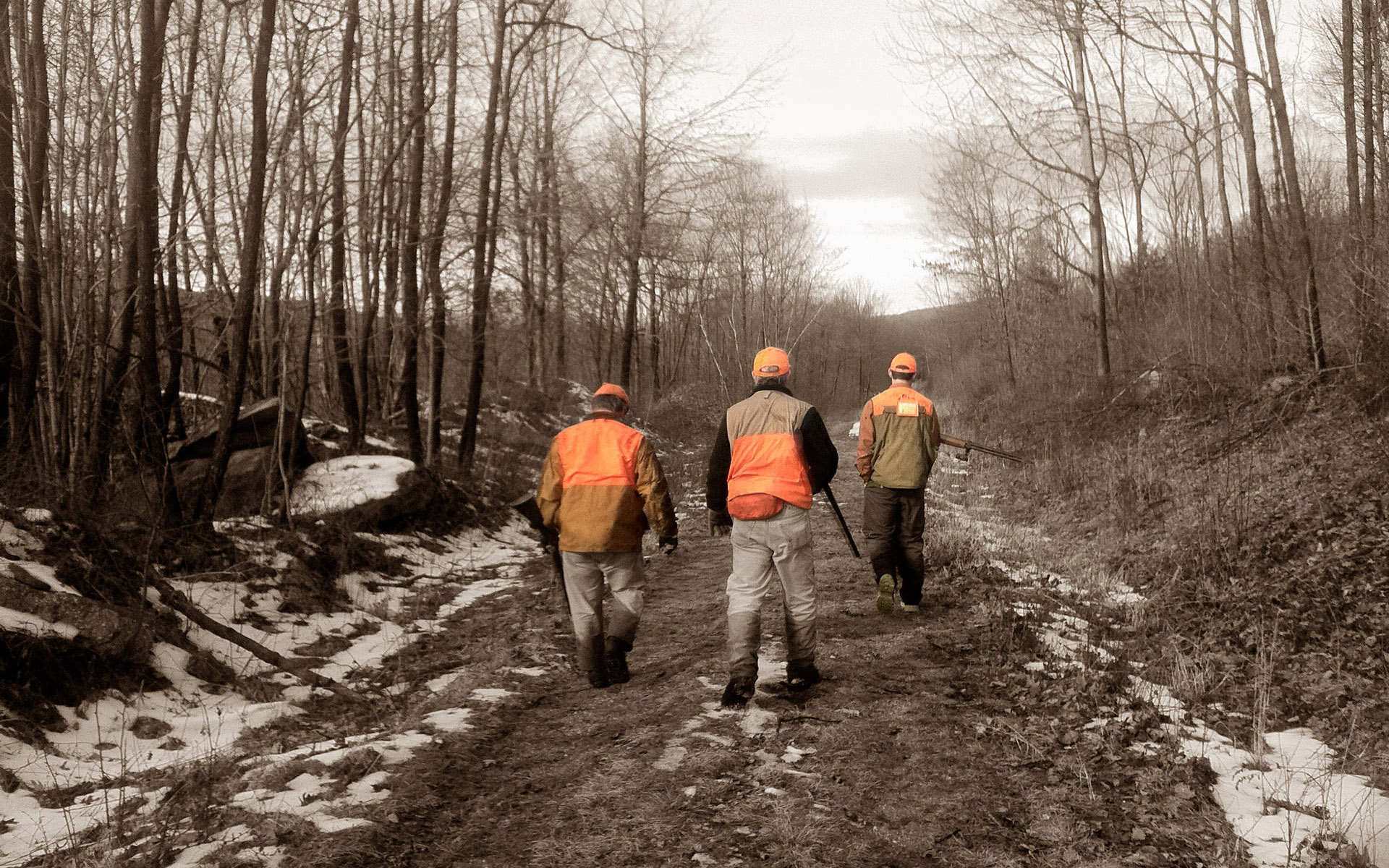 Hunting – International Shark Attack File