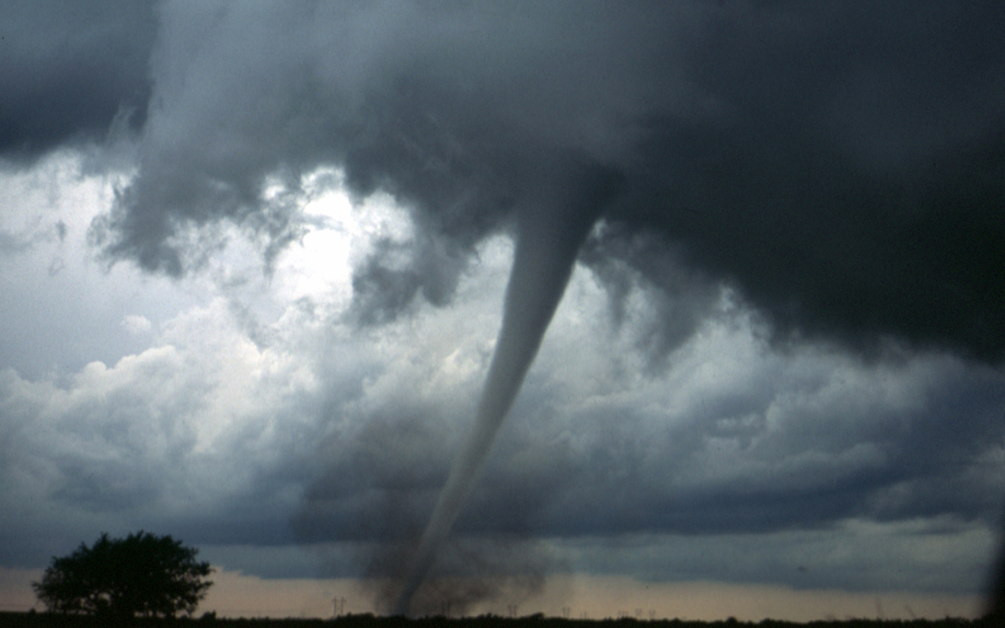 Tornadoes – International Shark Attack File