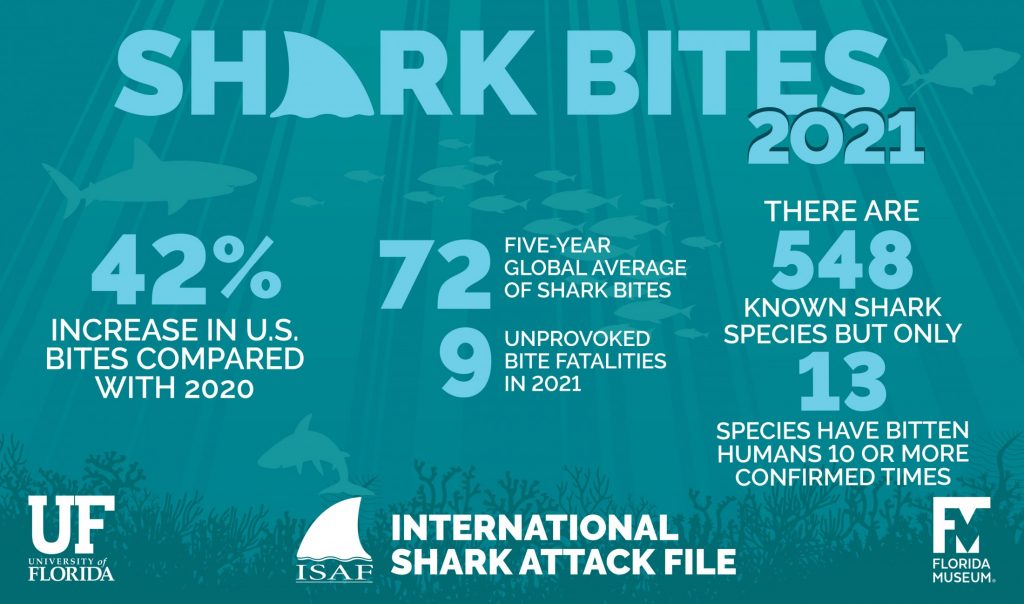 Quick Guide to the 2021 ISAF annual report – International Shark Attack ...