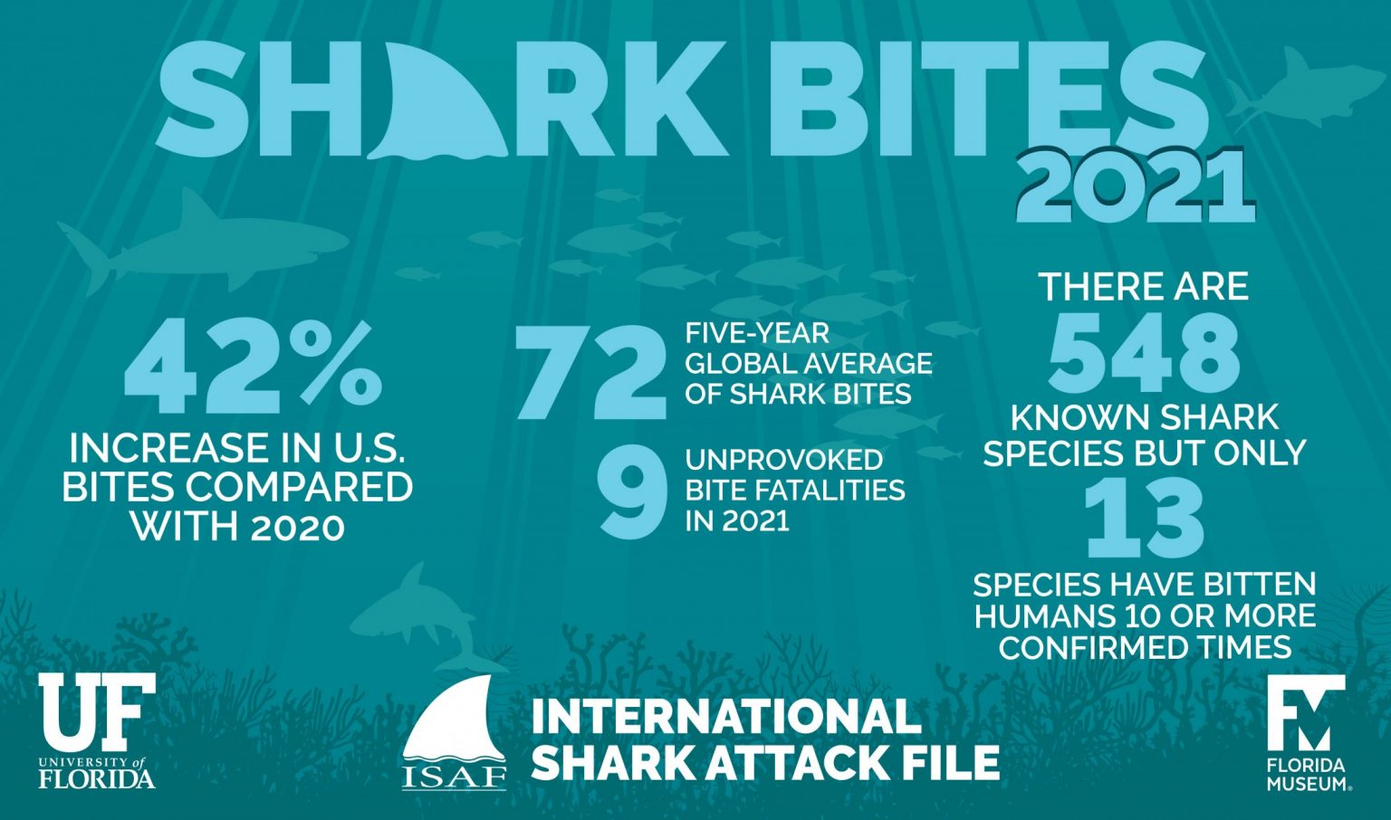 Quick Guide to the 2021 ISAF annual report – International Shark Attack ...