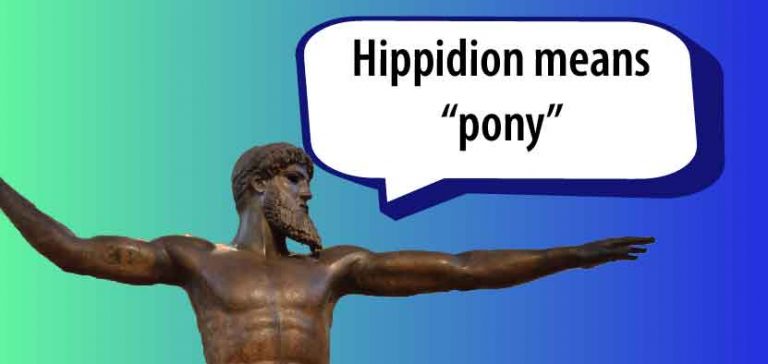 Hippidion – Fossil Horses