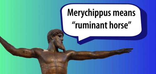 Merychippus – Fossil Horses