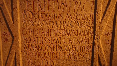 Scientific Names – Fossil Horses