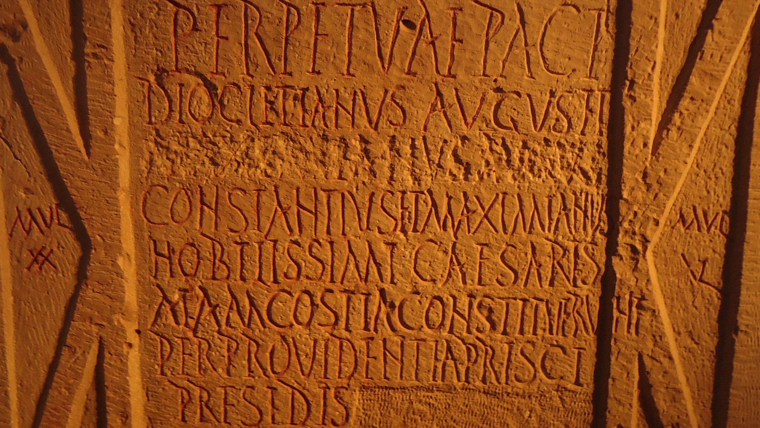 Scientific Names – Fossil Horses