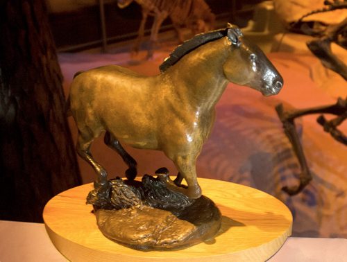 Equus – Fossil Horses