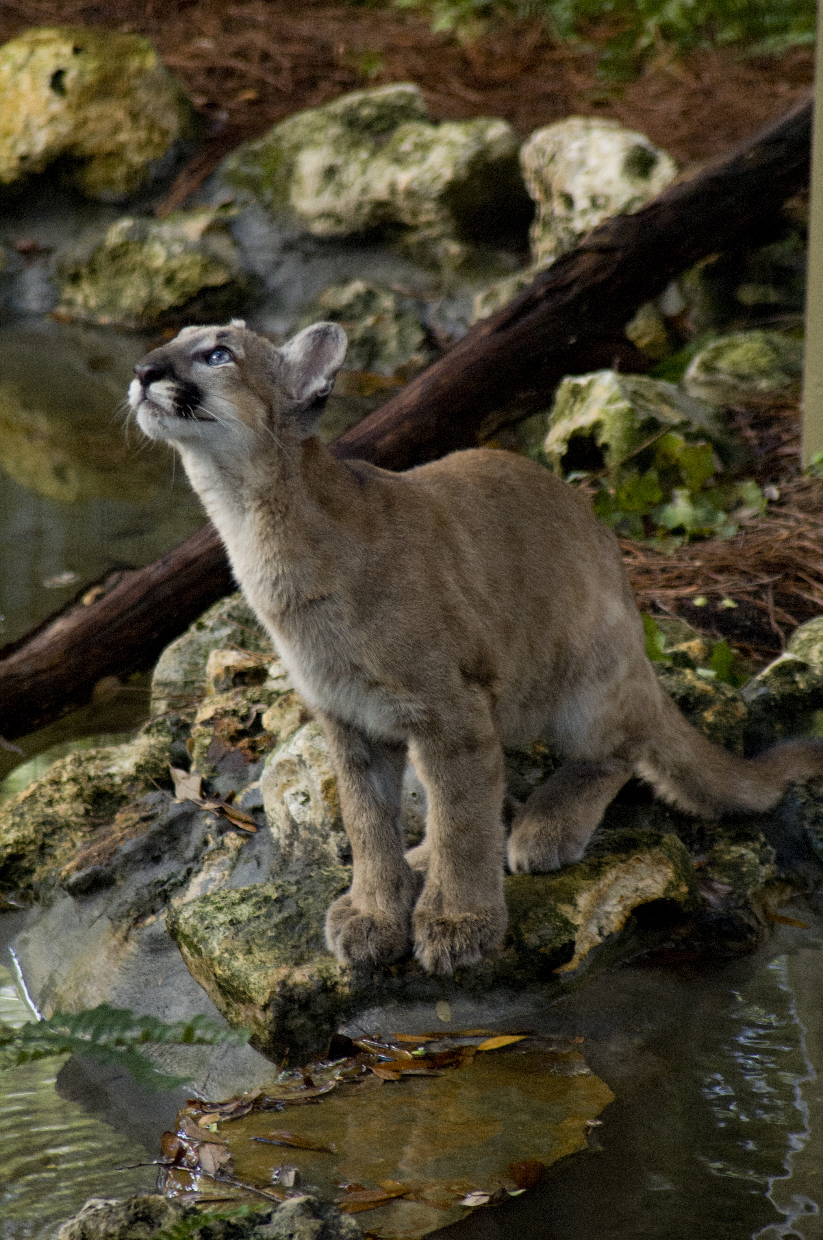 How are the Earth’s natural systems connected? – Thompson Earth Systems ...