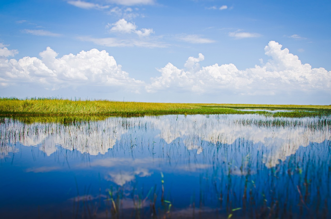 Climate Change Alters What’s Possible in Restoring Florida’s Everglades ...