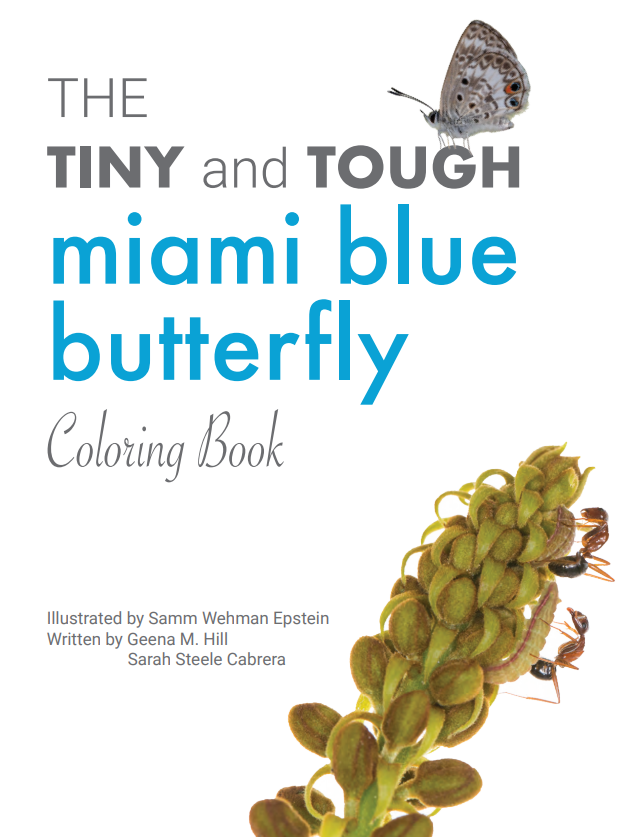 TESI Grant Recipients Launch New Miami Blue Butterfly Exhibit in ...