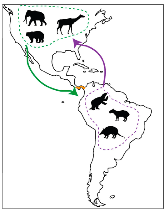 How Can We Monitor Mass Migrations Globally and Conserve Biodiversity ...
