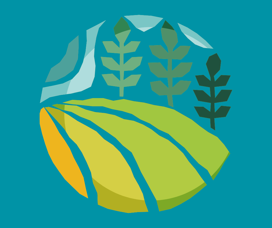 Meet the Florida Agencies Who Help Manage Our Environment – Thompson ...