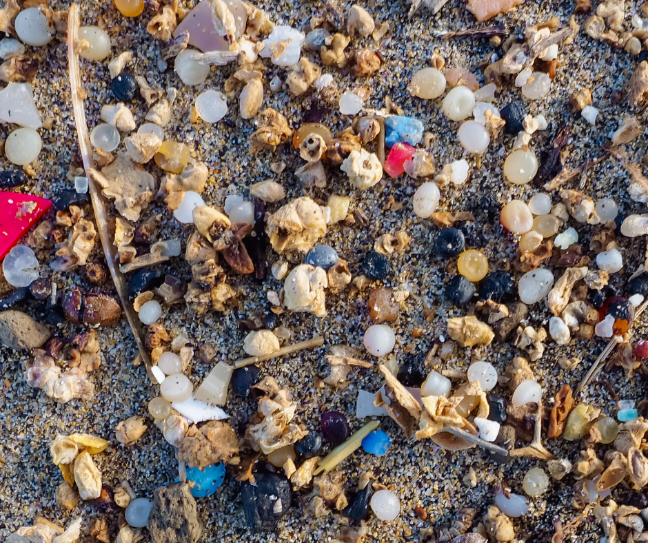 USF Researchers Estimate 4 Billion Microplastics Floating in Tampa Bay ...