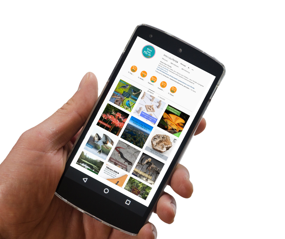 Digital Science Outreach – Thompson Earth Systems Institute