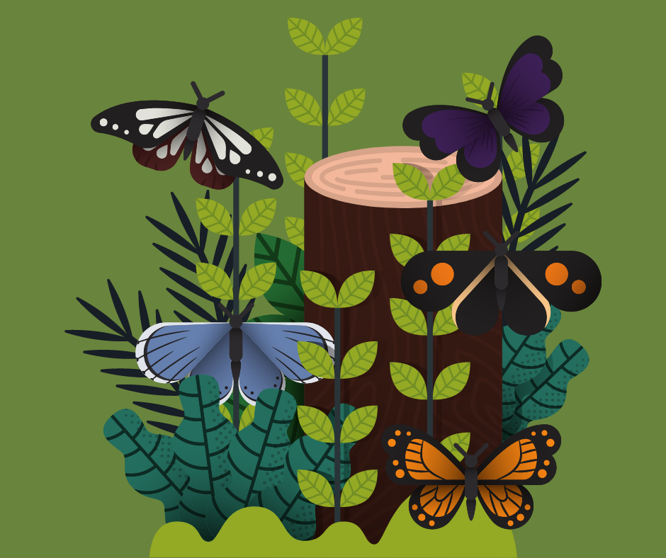 Cultivate Insect-Friendly Outdoor Spaces – Thompson Earth Systems Institute