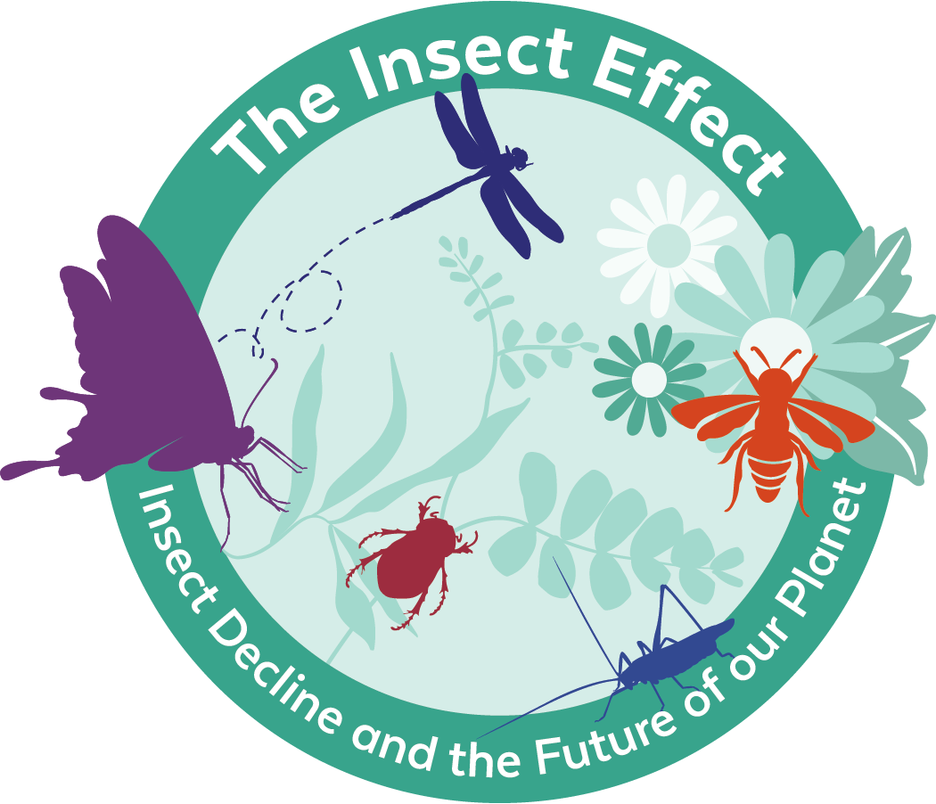 The Insect Effect: Insect Decline and the Future of Our Planet ...