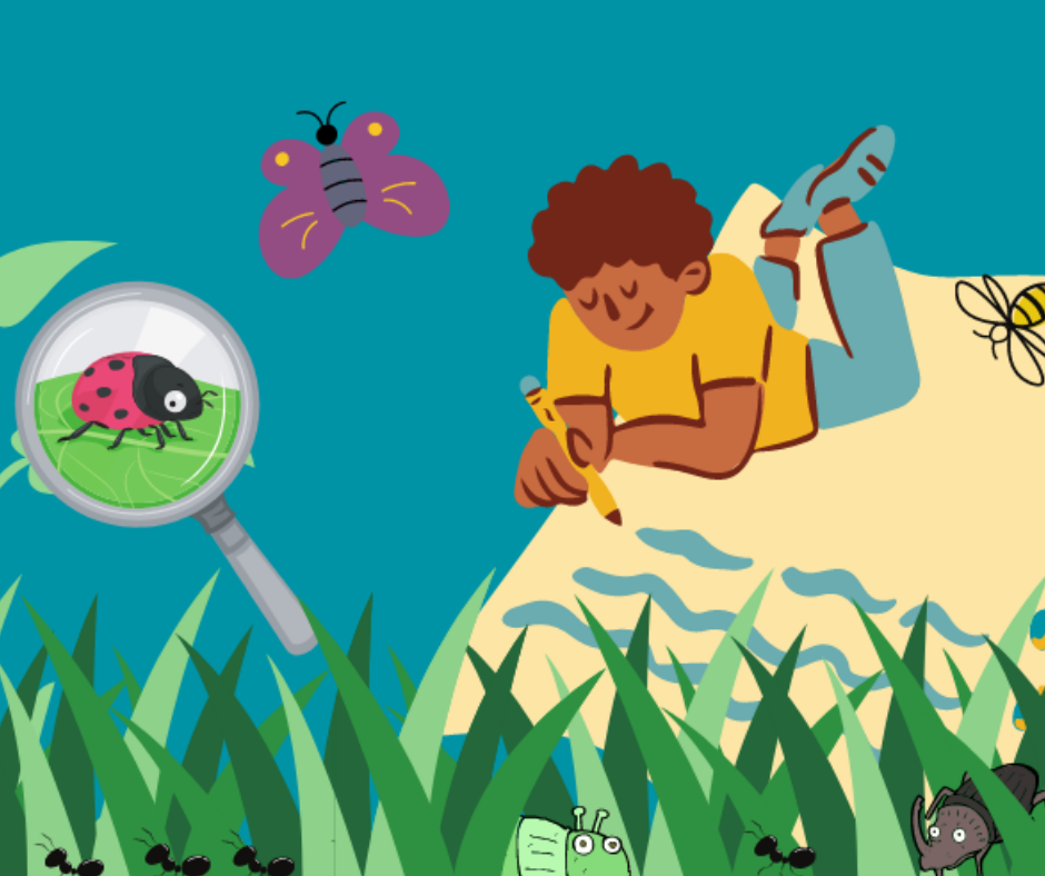 TESI and SEFS Offer Free K-12 Resources About the Importance of Insects ...