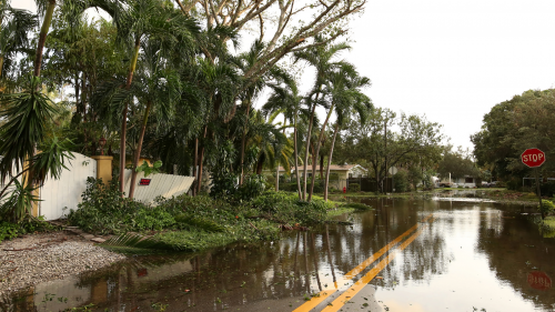 Tell Me About: Sea Level Rise in Florida – Thompson Earth Systems Institute