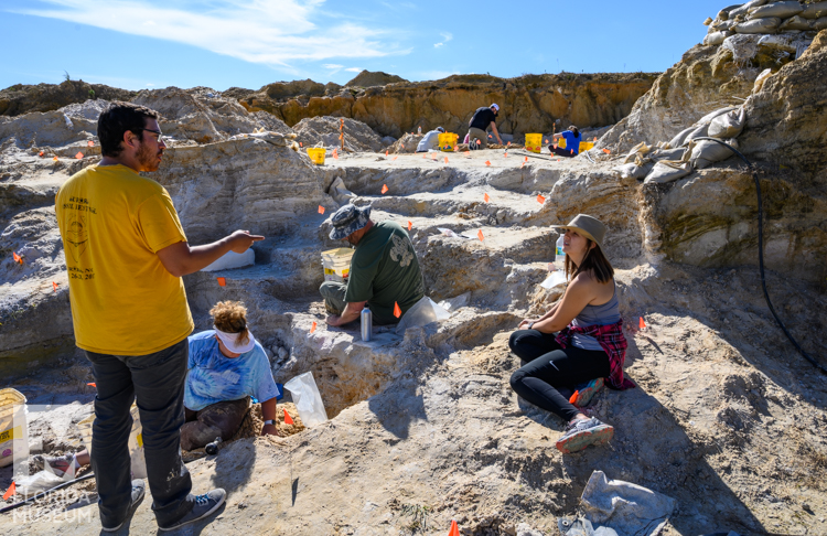 SEFS Publishes Study on Authentic Field Experiences for STEM Teachers ...