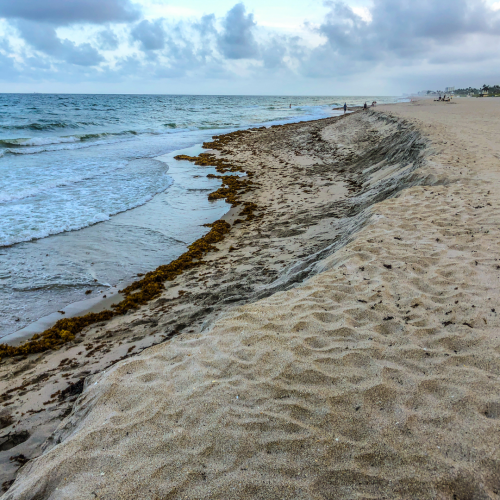 Tell Me About: Beach Erosion in Florida – Thompson Earth Systems Institute