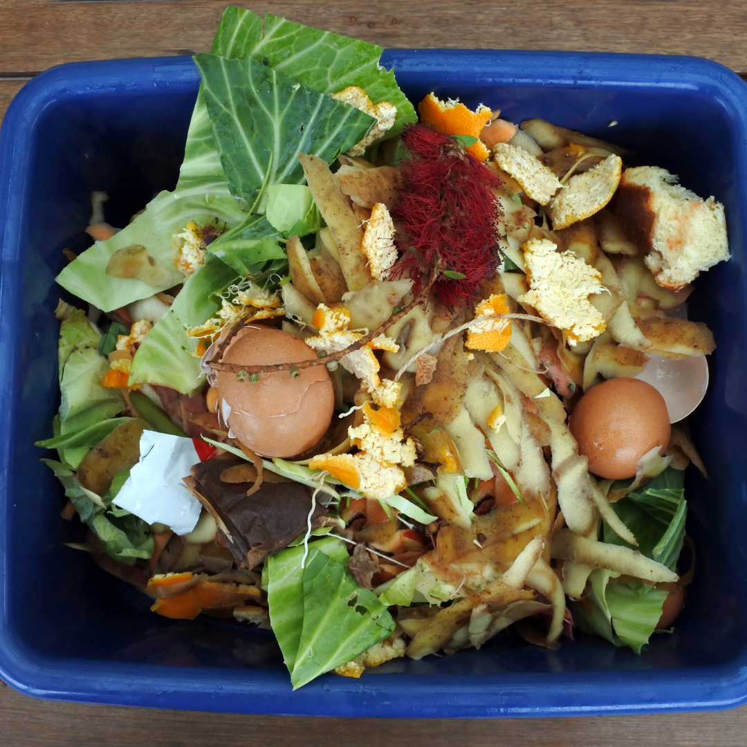 Action of the Week: Try Your Hand at Home Composting – Thompson Earth ...