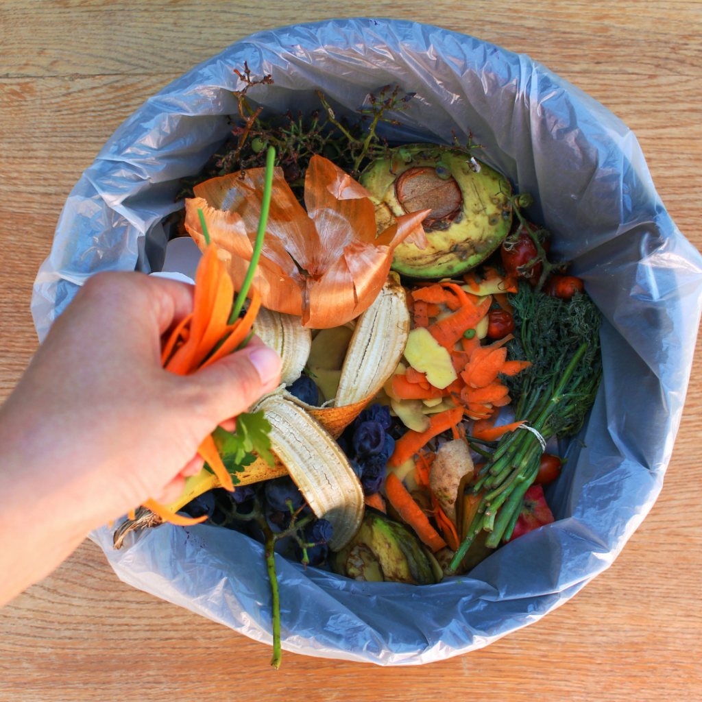 Action of the Week: Try Your Hand at Home Composting – Thompson Earth ...