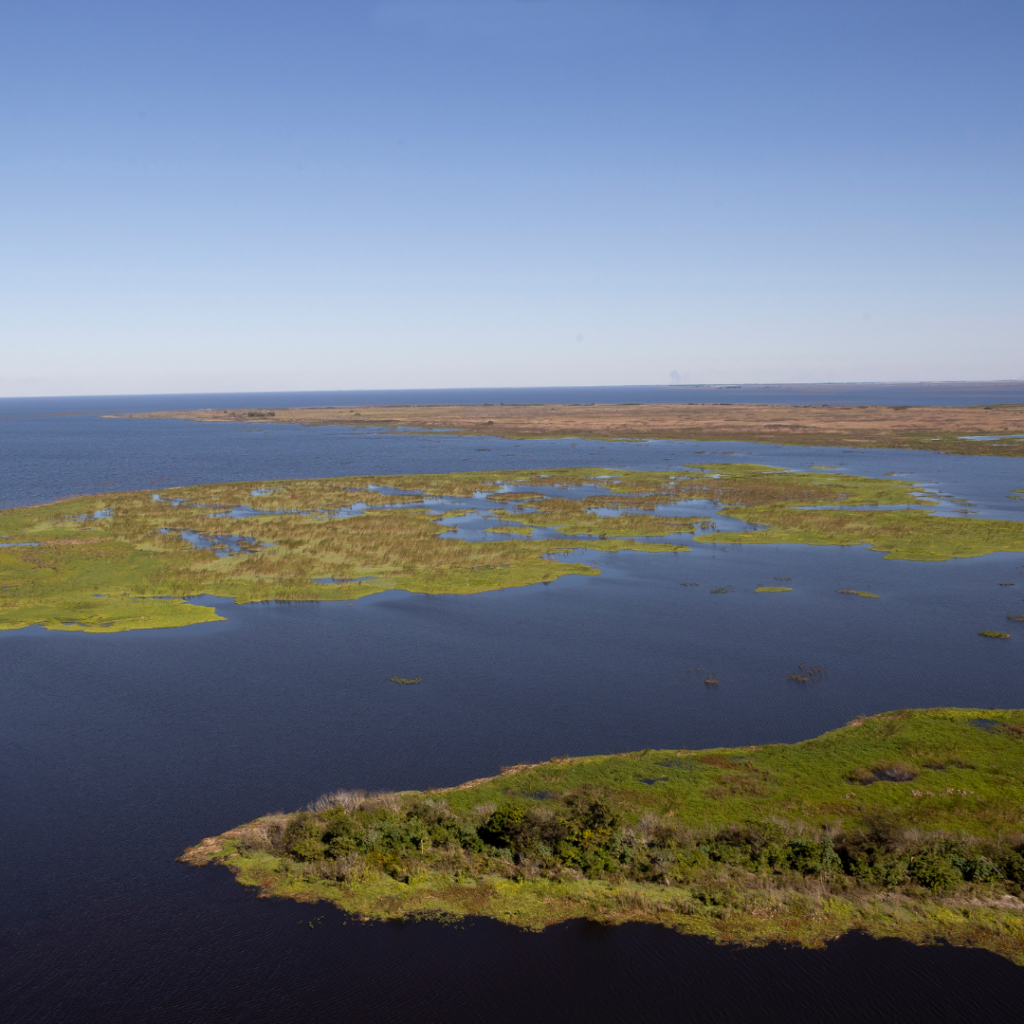 Water Quality and Quantity – Thompson Earth Systems Institute