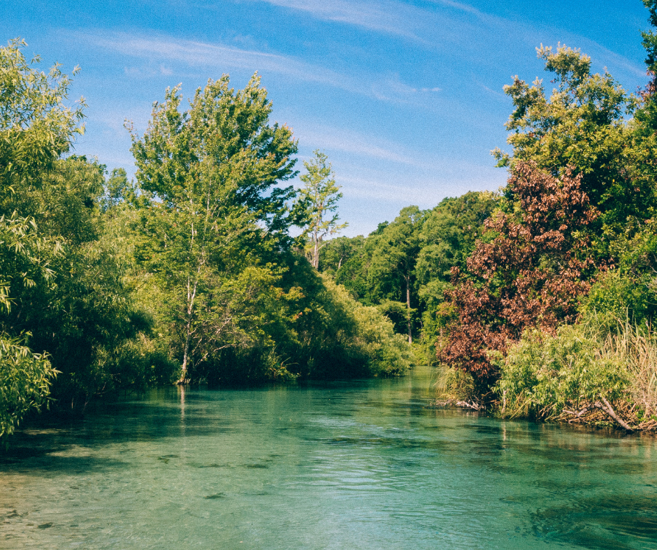 Florida’s Environment: 16 Stories to Watch for February/March ...