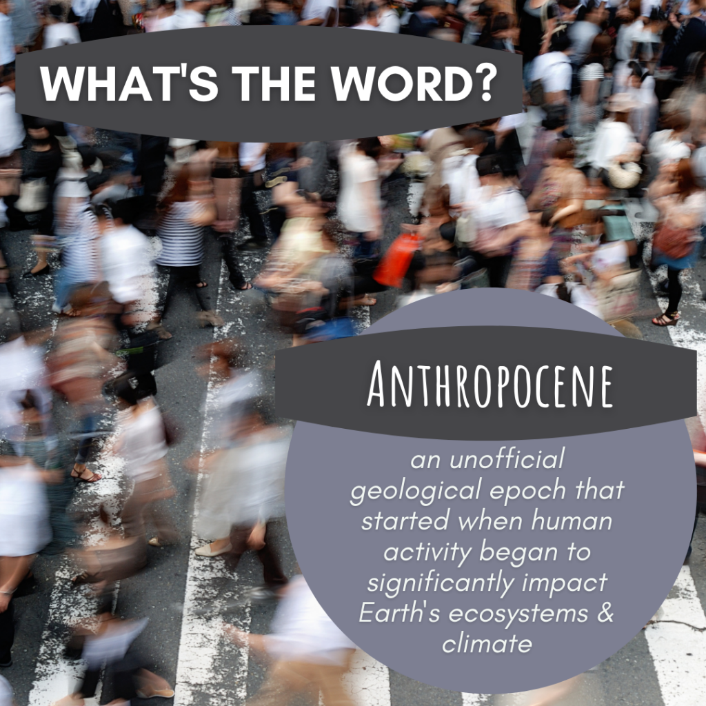 Jocelyn Kreider – Thompson Earth Systems Institute