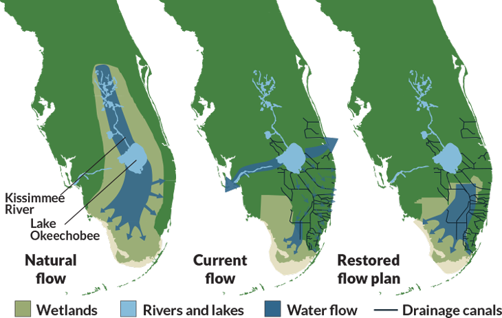 Tell Me About: Everglades Restoration – Thompson Earth Systems Institute
