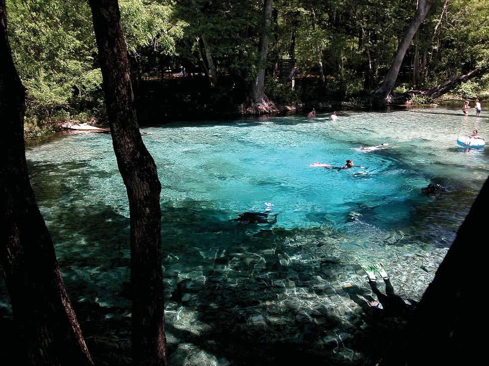 Tell Me About: Springs Protection Zones in Florida – Thompson Earth ...