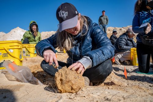 Fossils, Paleontology, and Ancient Life of Florida – Thompson Earth ...