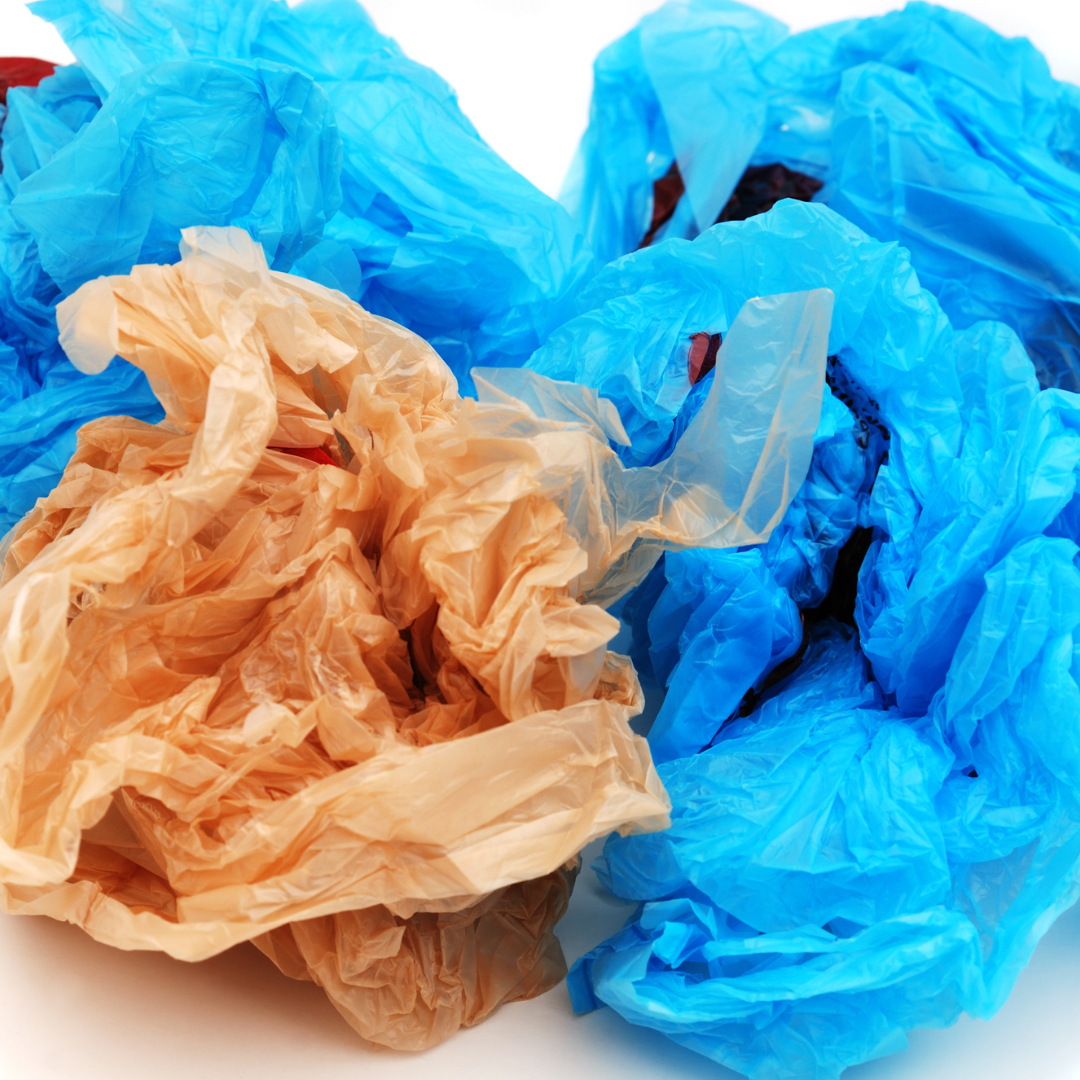 Action of the Week: Just Say No to Single-Use Plastics – Thompson Earth ...