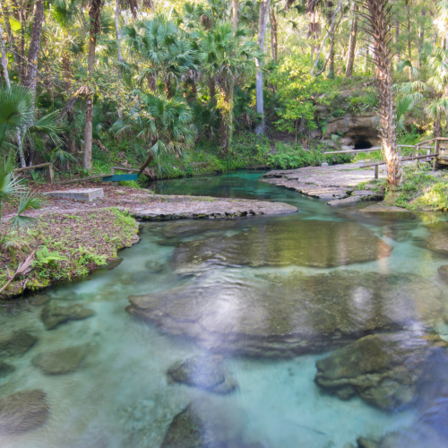 Tell Me About: Exhaustible Renewables – Thompson Earth Systems Institute