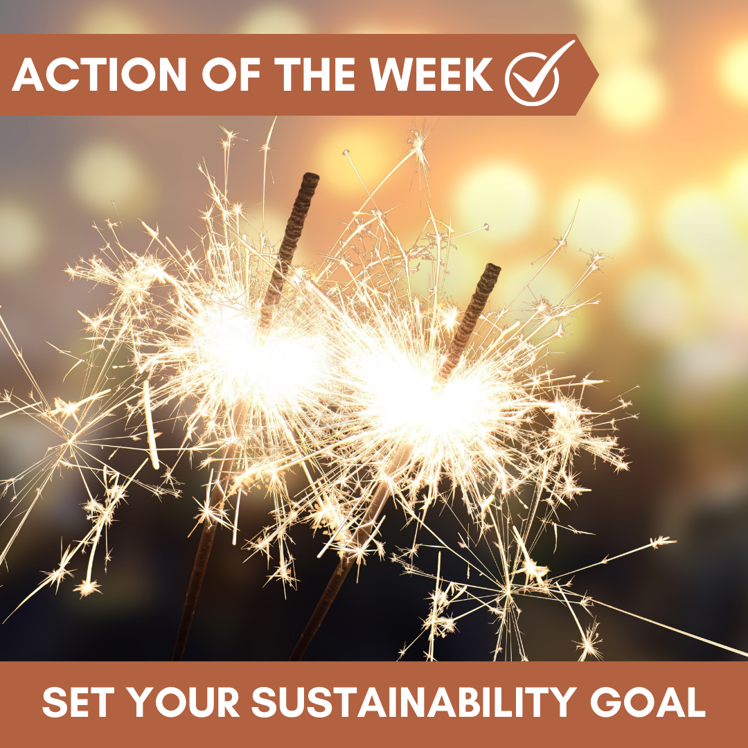 Action of the Week: Set Your New Year Sustainability Goal – Thompson ...