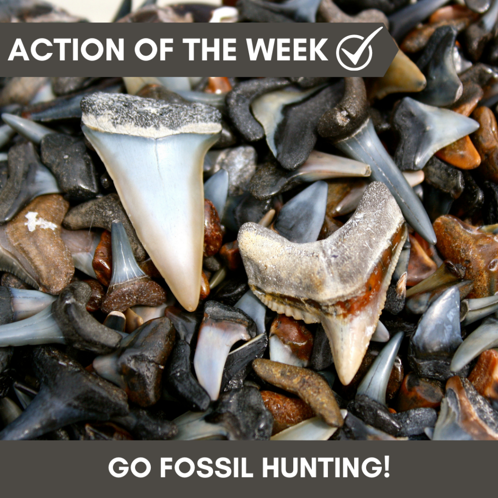 Genna Nordling – Thompson Earth Systems Institute