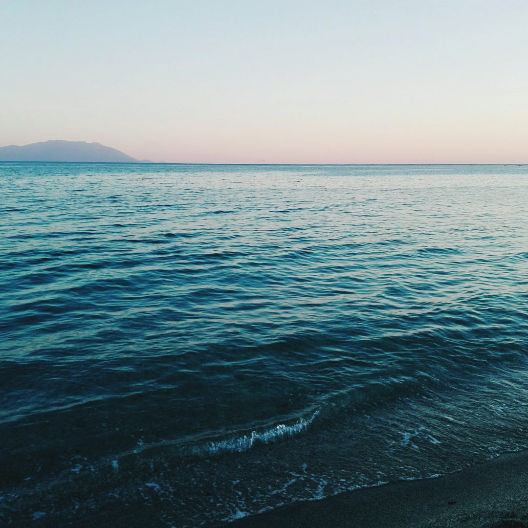 Tell Me About: Ocean Acidification – Thompson Earth Systems Institute