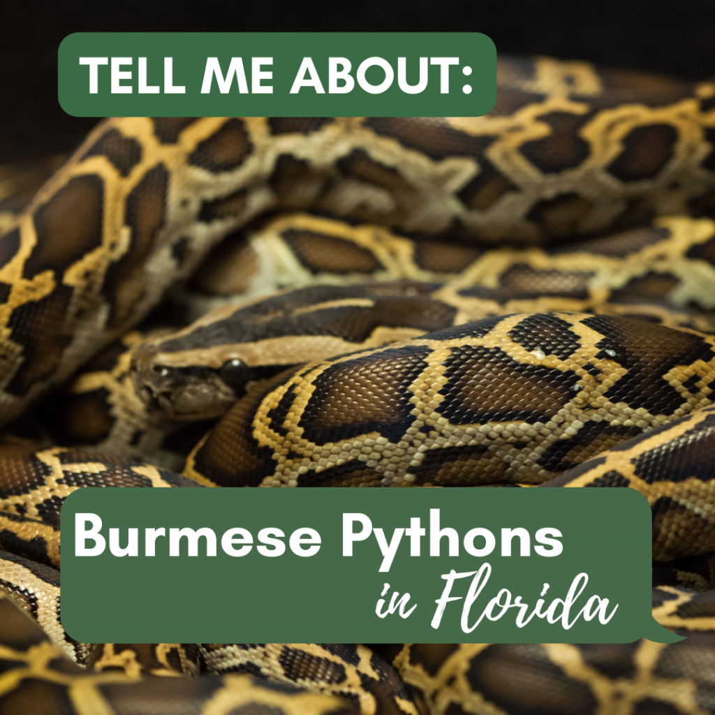 Genna Nordling – Thompson Earth Systems Institute