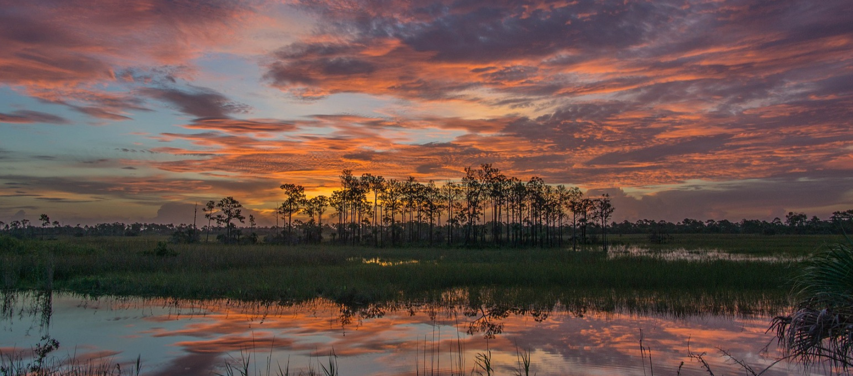 Thompson Earth Systems Institute – University of Florida