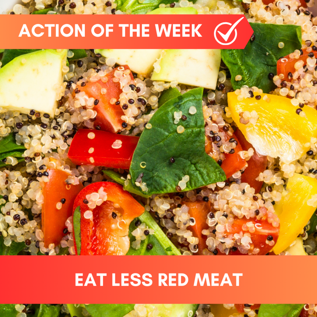 Genna Nordling – Thompson Earth Systems Institute